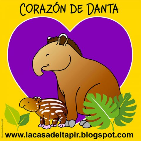 Cuento: Corazón de Danta | Fundación AndígenA