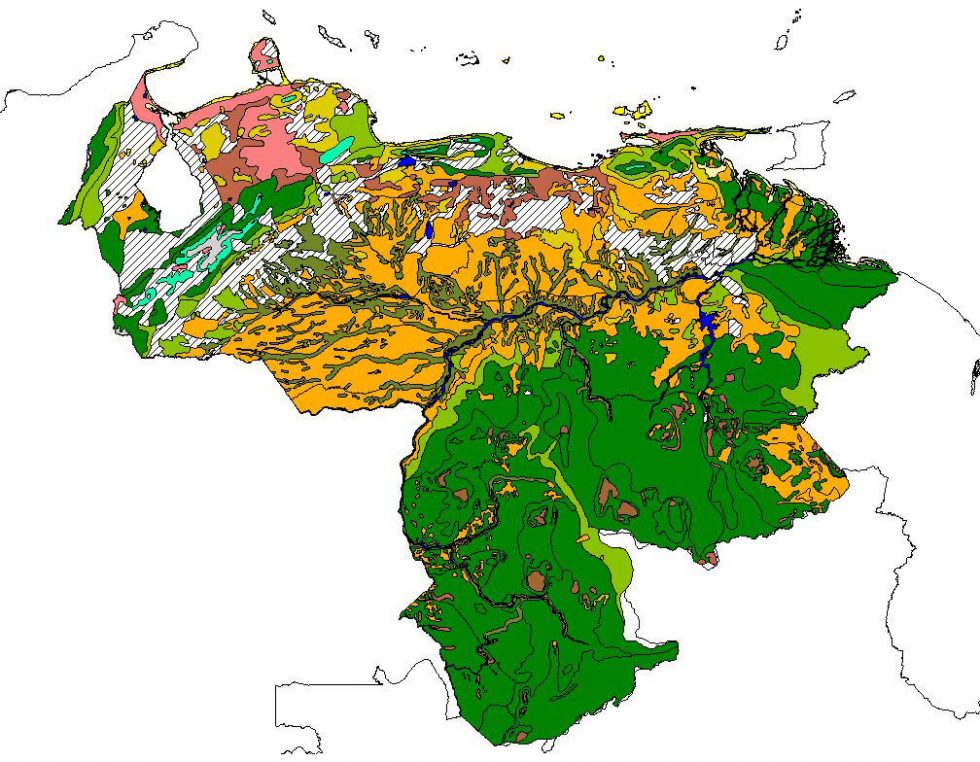 Dantas y Mapas | Fundación AndígenA